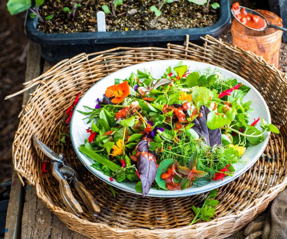 Foraged salad with tamarillo dressing - Nadia Lim