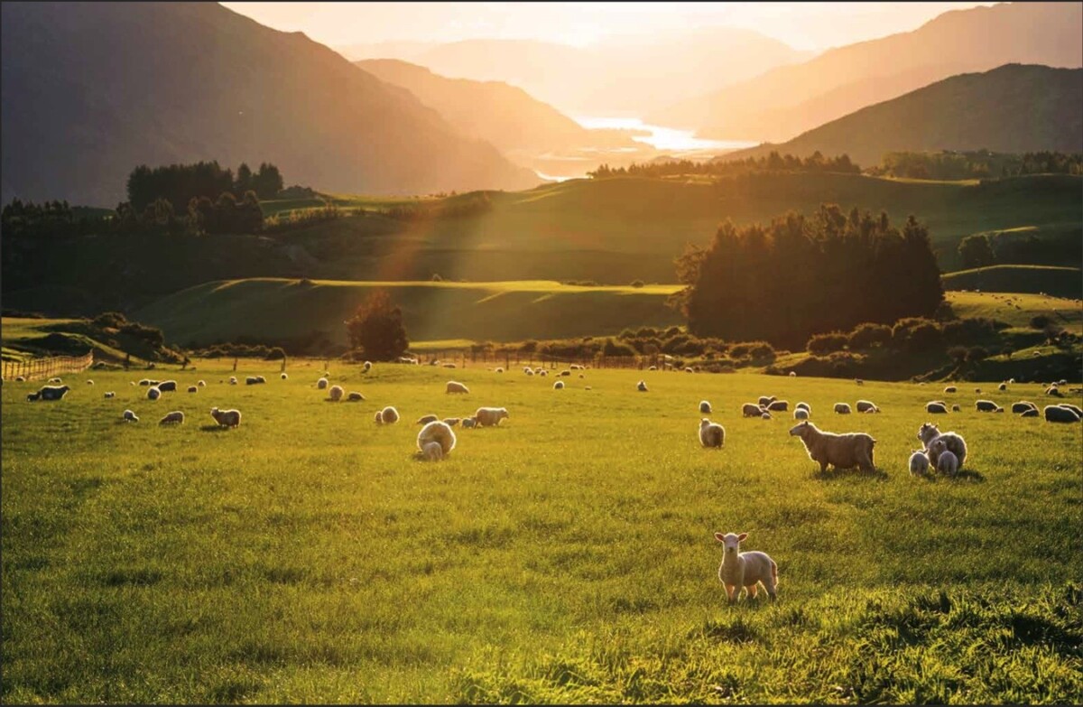 Nadia's Farm Kitchen - Nadia Lim